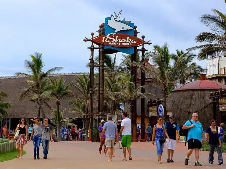 Half Day uShaka Marine World Tour | View Rates and Prices (2025)