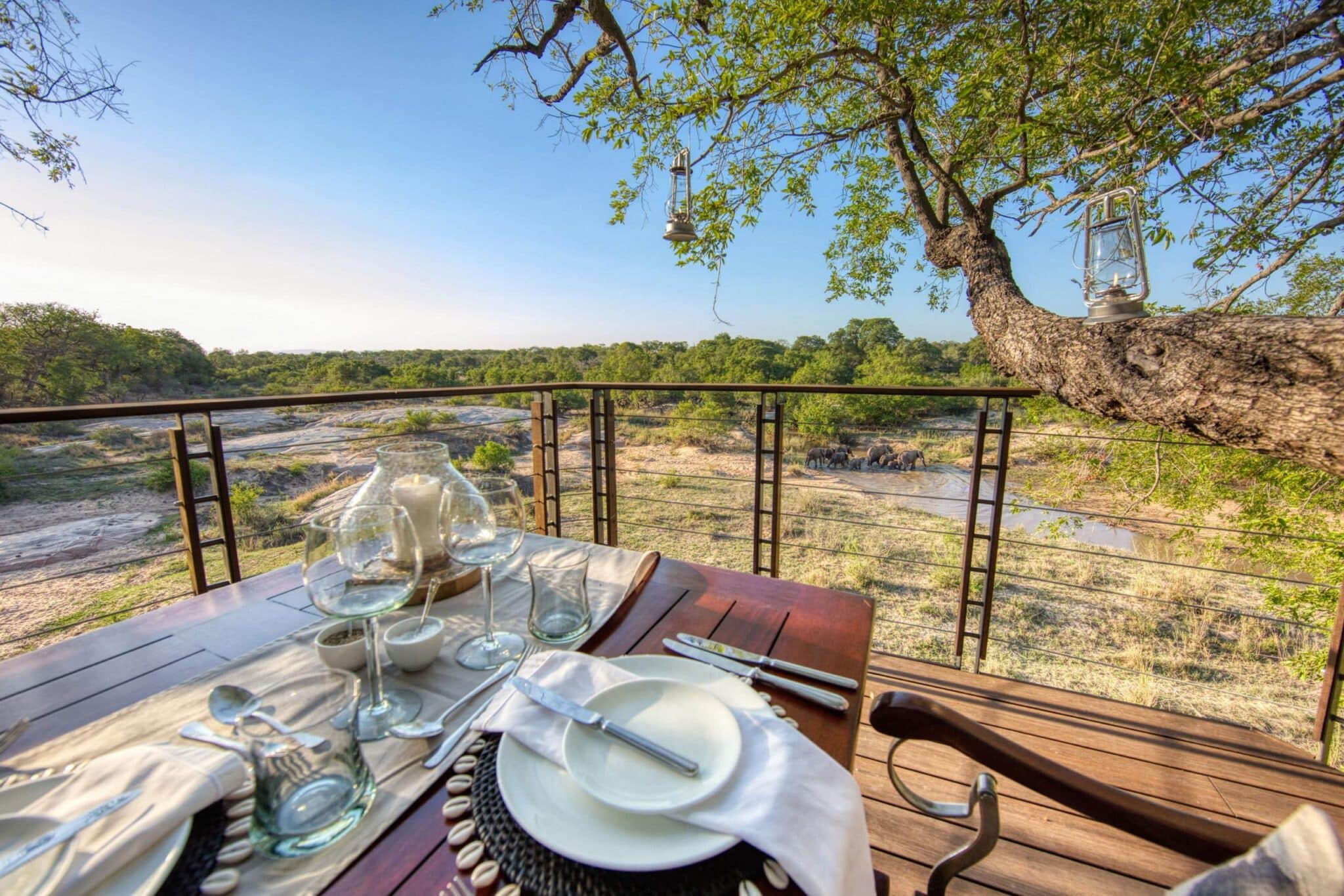 5 Day Dulini Leadwood Lodge Safari - Moafrika Tours