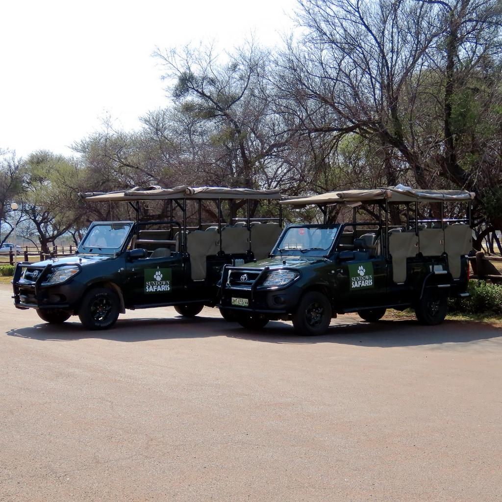 3 Hour Private Game Drive in Pilanesberg National Park - Moafrika Tours