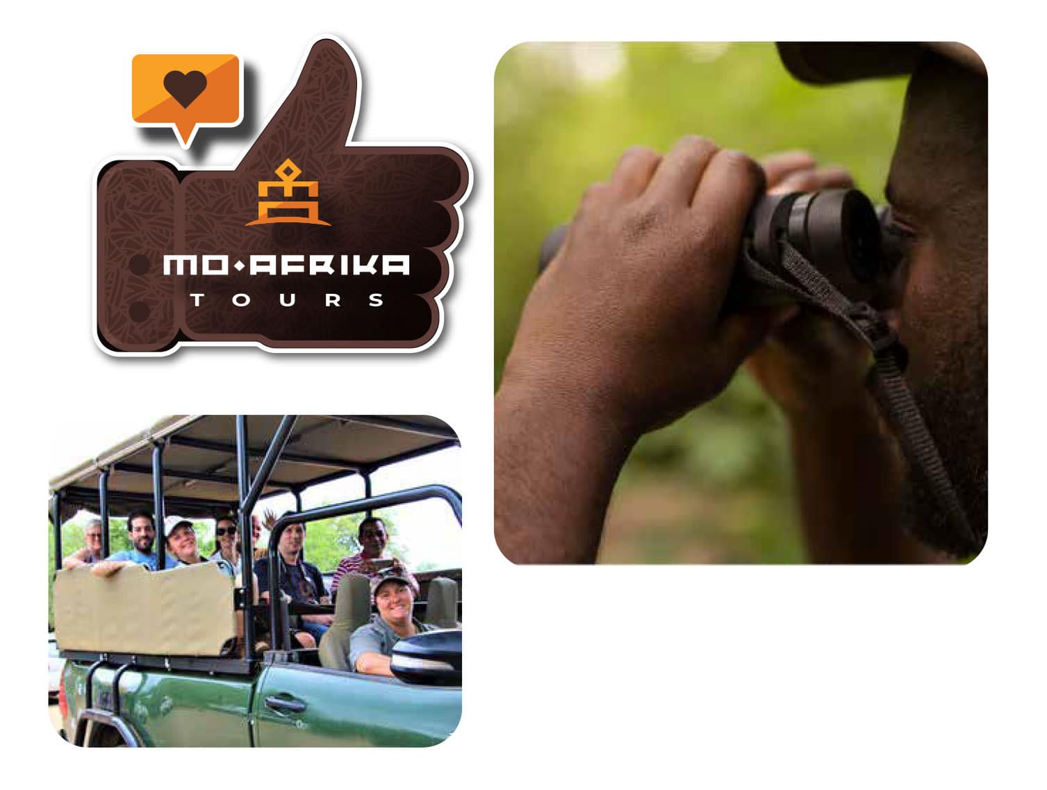 Kruger National Park Safaris - SAVE 47% On Kruger Park Tours