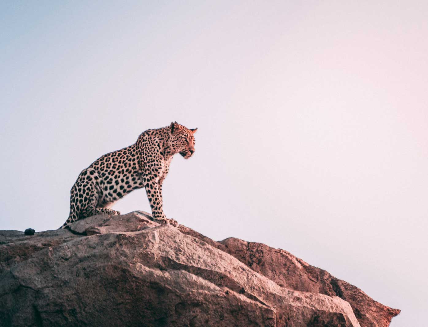 Best Kruger Park Day Tours Adventures - Moafrika Tours