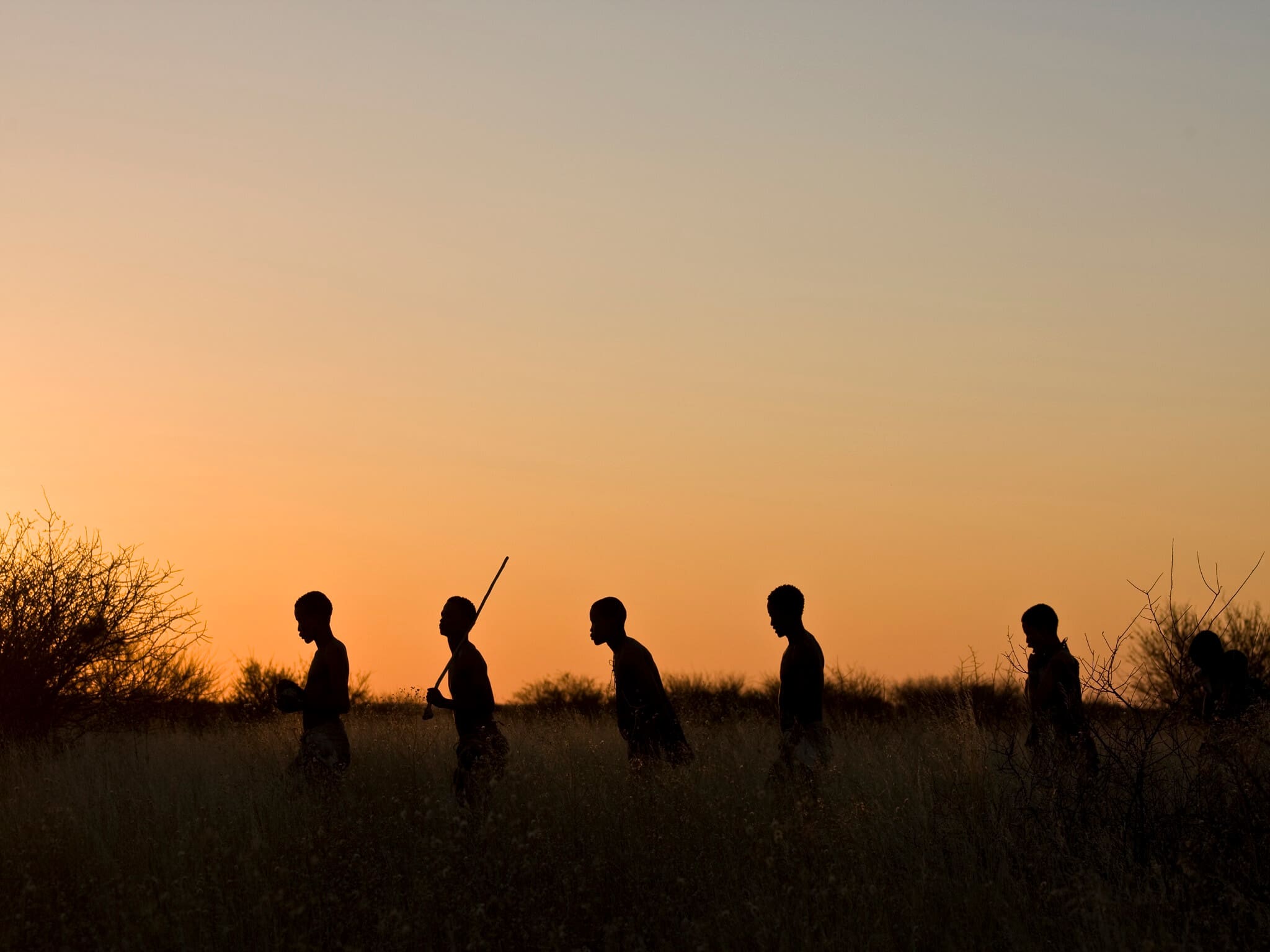 Kalahari Safaris - Moafrika Tours