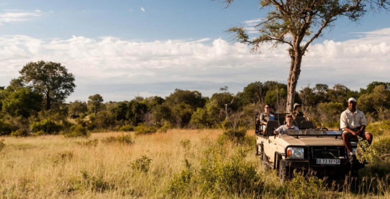 Manyeleti Game Reserve | Greater Kruger National Park
