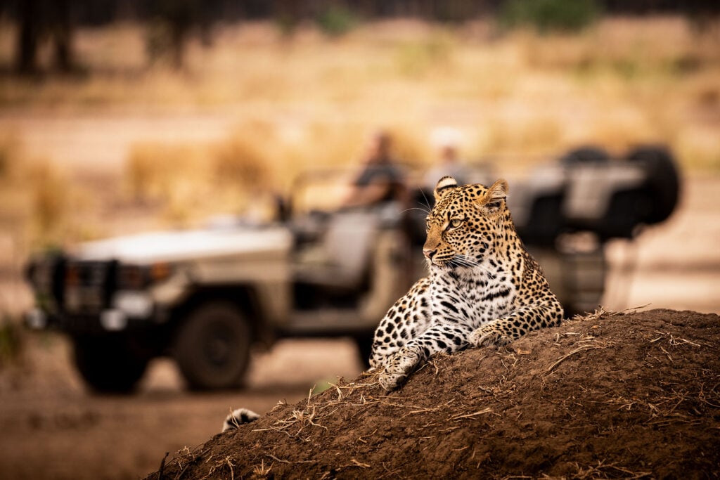 Pilanesberg Transfer and Safari - Moafrika Tours