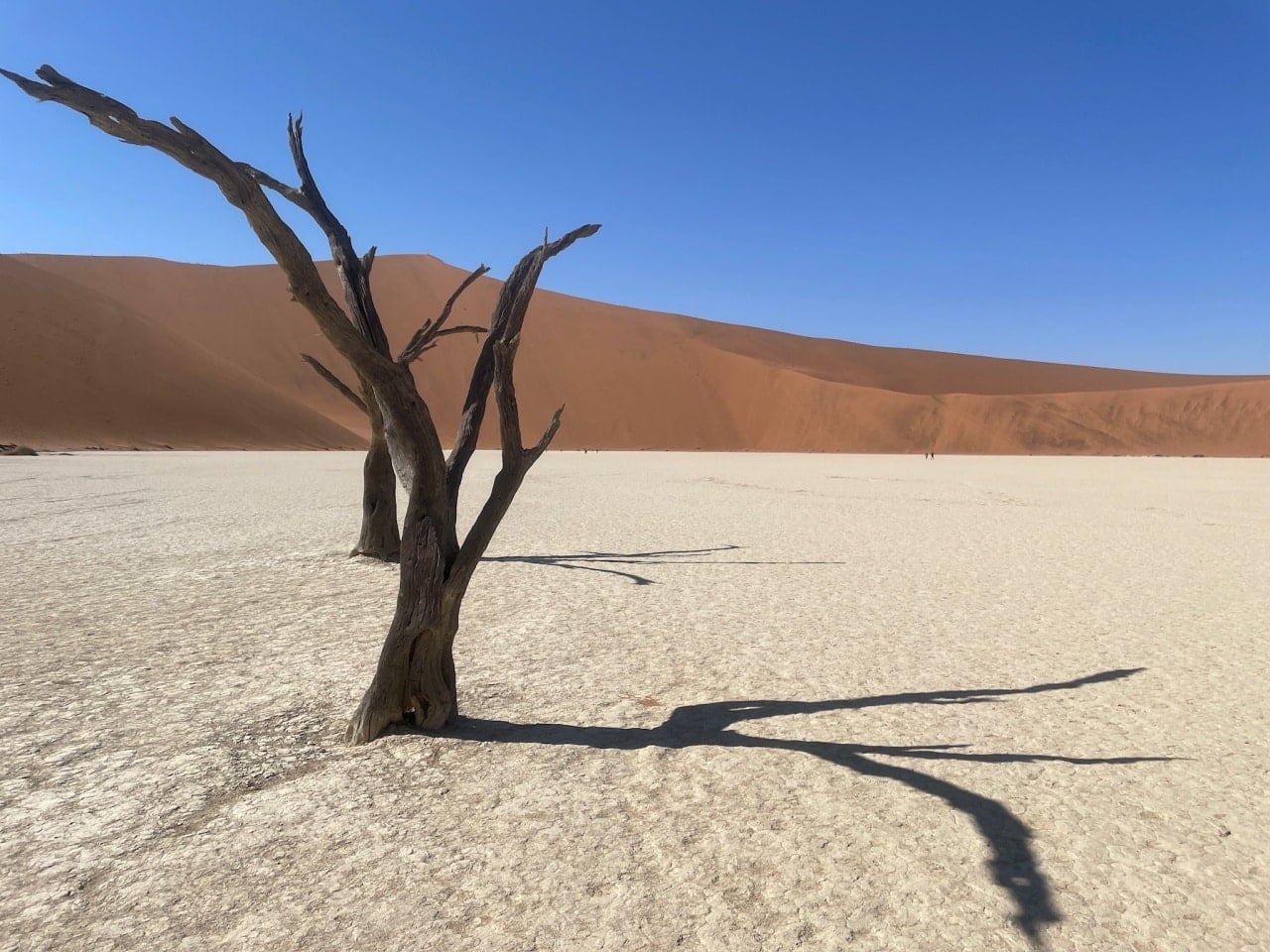 Namabia - an Ultimate Guide for your Ultimate Destination