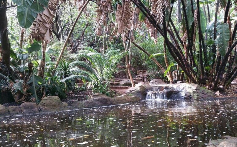 Pretoria: The Ultimate Guide to Great South African Culture