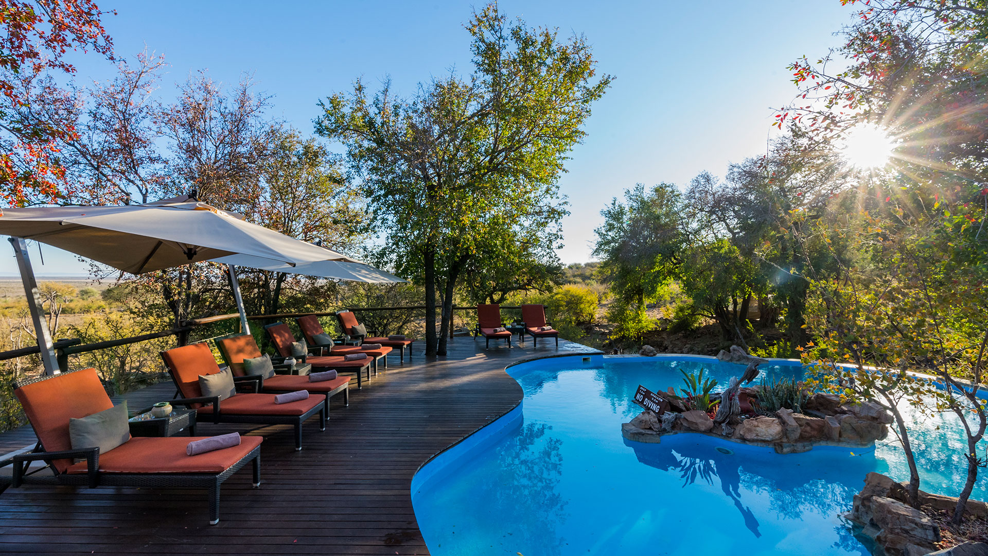 5-Day Madikwe Ultra Luxury Impodimo Safari - Moafrika Tours