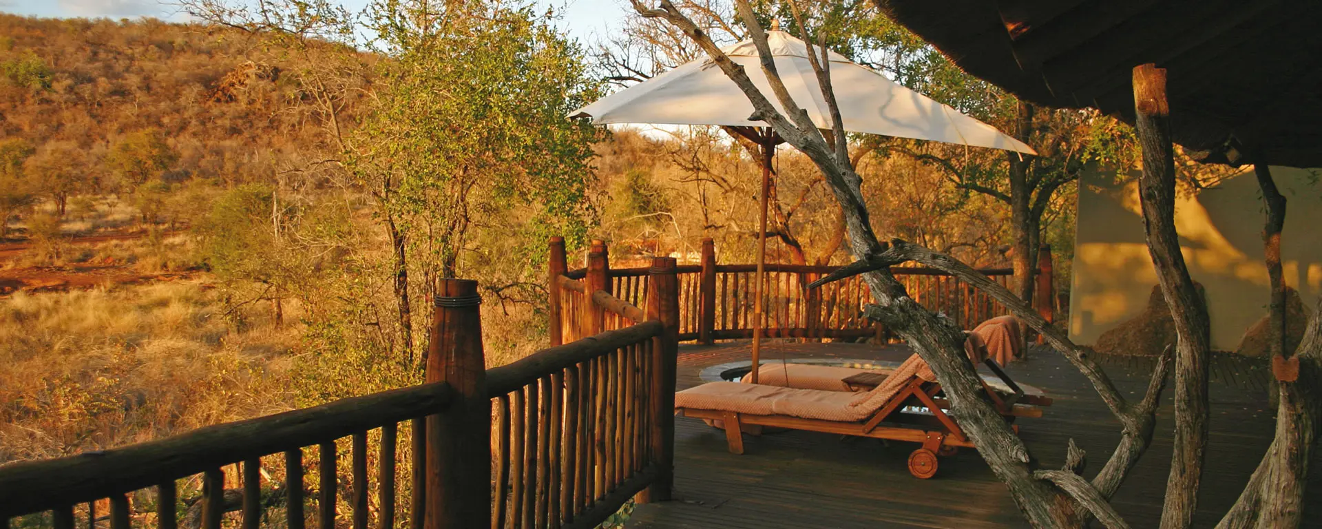 4-Day Luxury Madikwe Etali Safari Lodge - Moafrika Tours