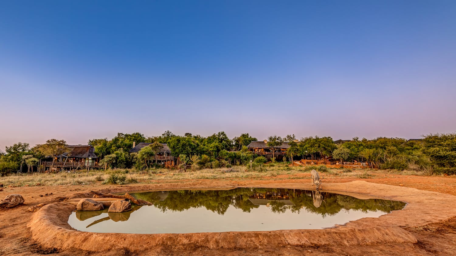 5-Day Luxury Madikwe Etali Safari Lodge - Moafrika Tours
